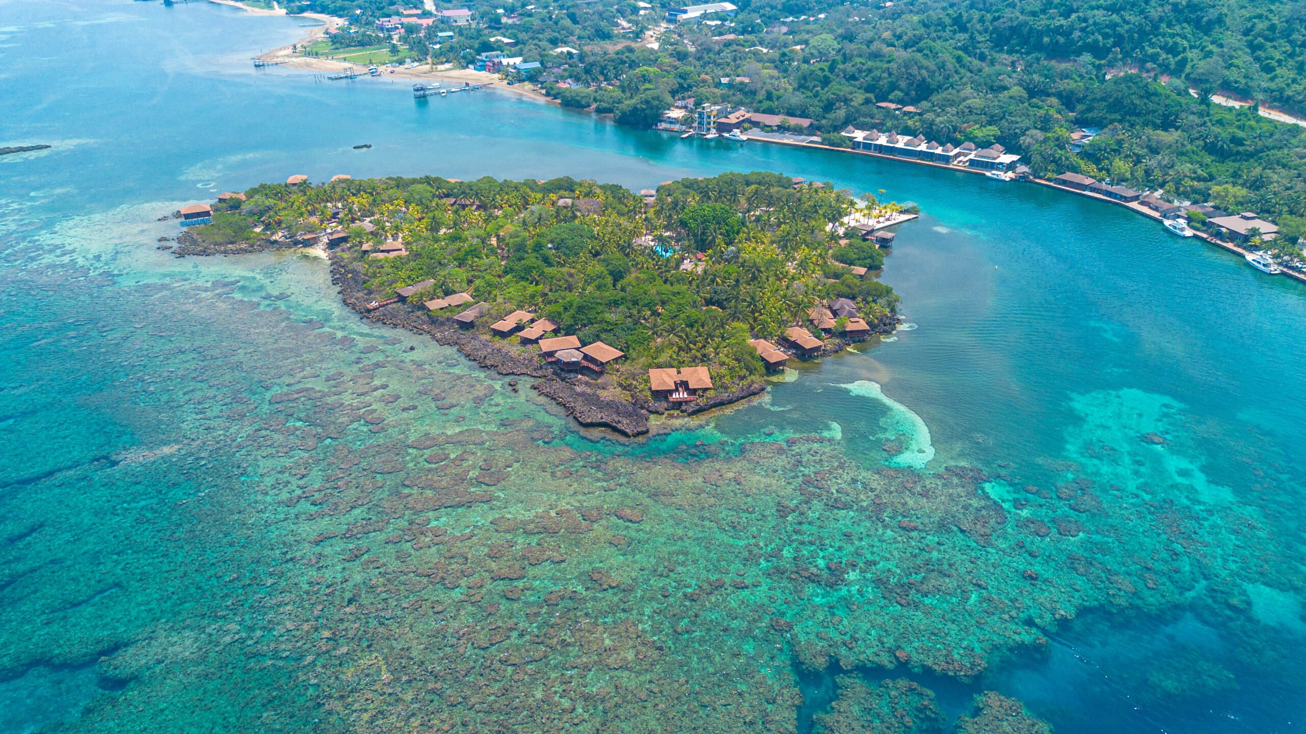 Roatan Dive Resorts: Where To Stay For The Ultimate Dive Experience In 2026